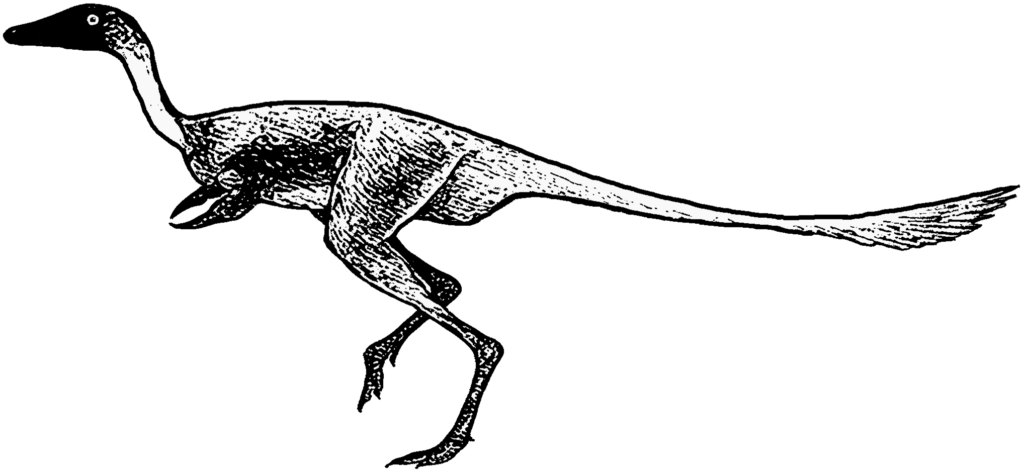 Tierprofil: Trierarchuncus prairiensis - Die weißen Steine