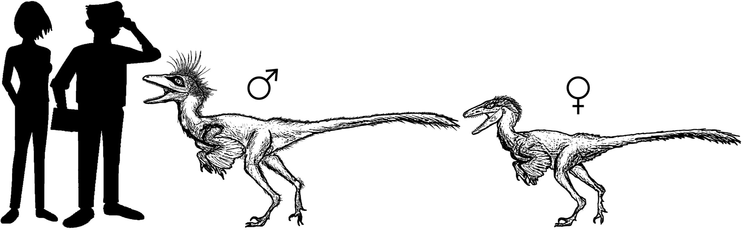 Tierprofil: Pectinodon bakkeri - Die weißen Steine