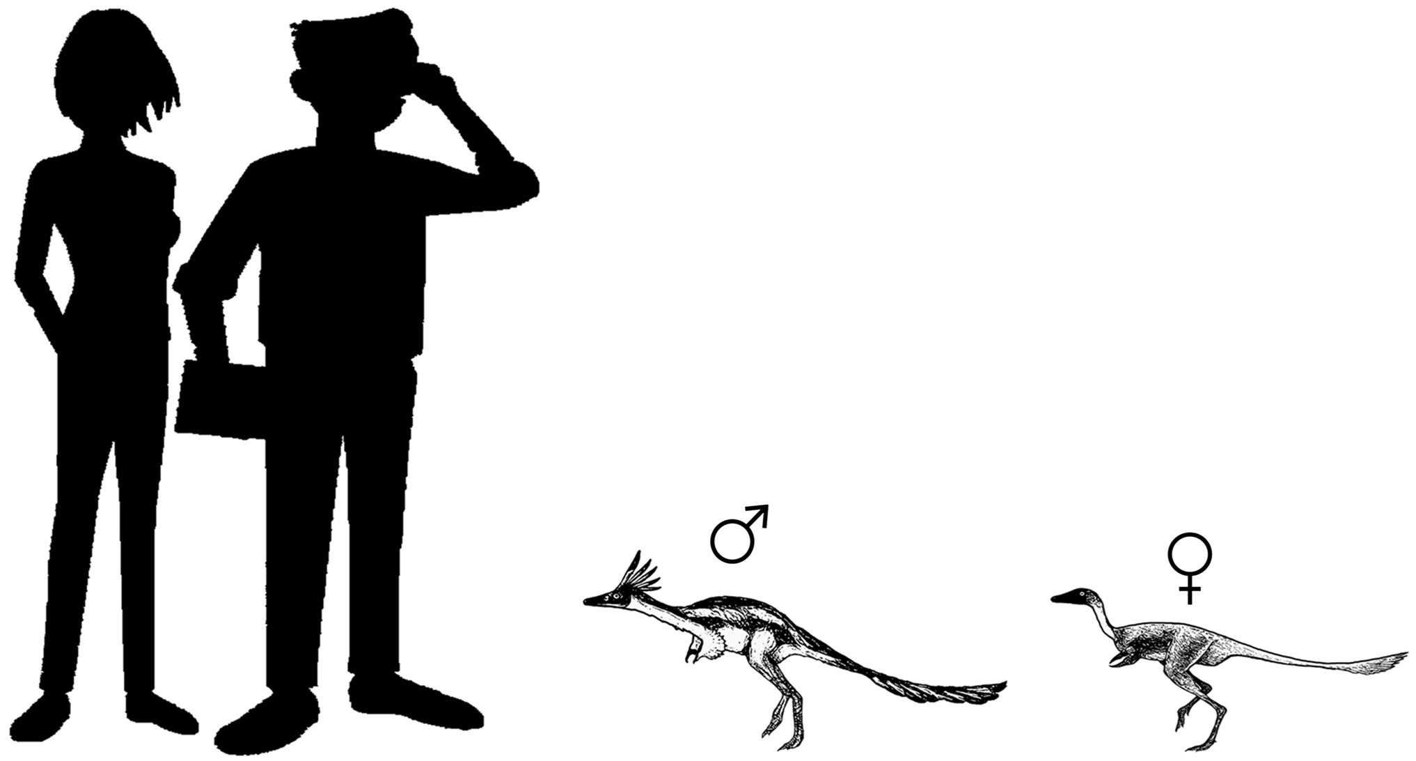 Tierprofil: Trierarchuncus prairiensis - Die weißen Steine