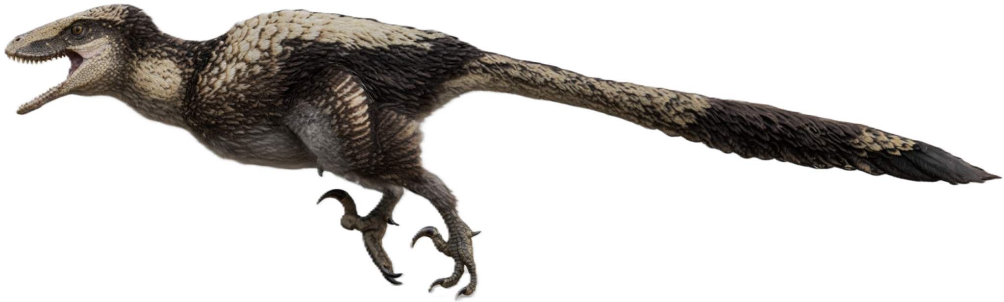 Tierprofil: Dakotaraptor steini - Die Weißen Steine